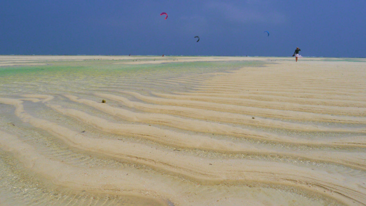 Zanzibar - Paje - Traveller-kites